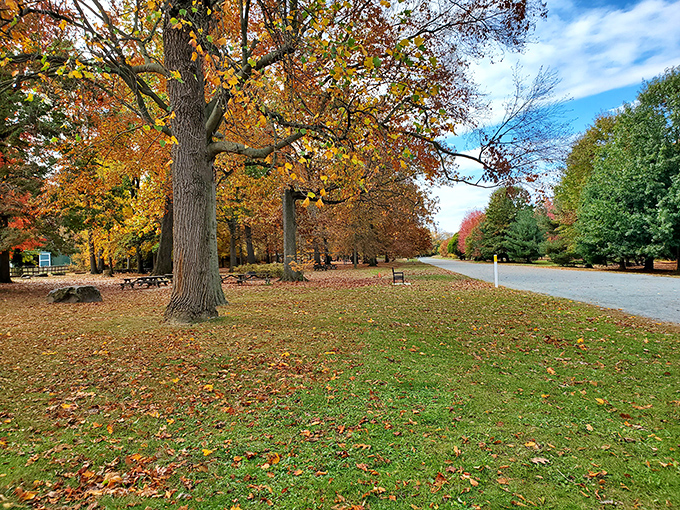 Nature's perfect corridor beckons with a canopy of green. This tranquil trail at Bellevue invites you to leave your worries&mdash;and possibly your cell reception&mdash;behind.