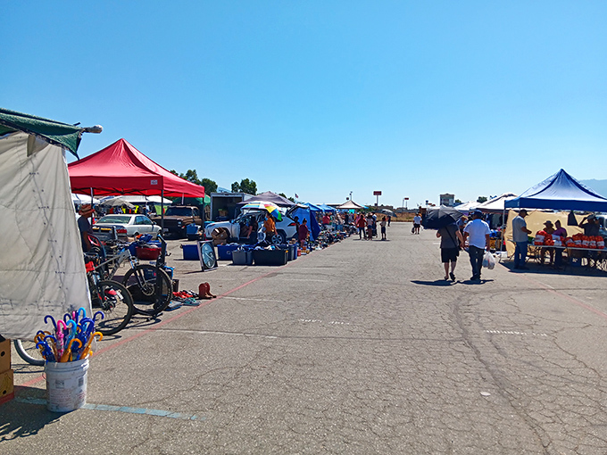 A treasure hunter's paradise stretches as far as the eye can see, with colorful tents creating a patchwork marketplace under the California sky.
