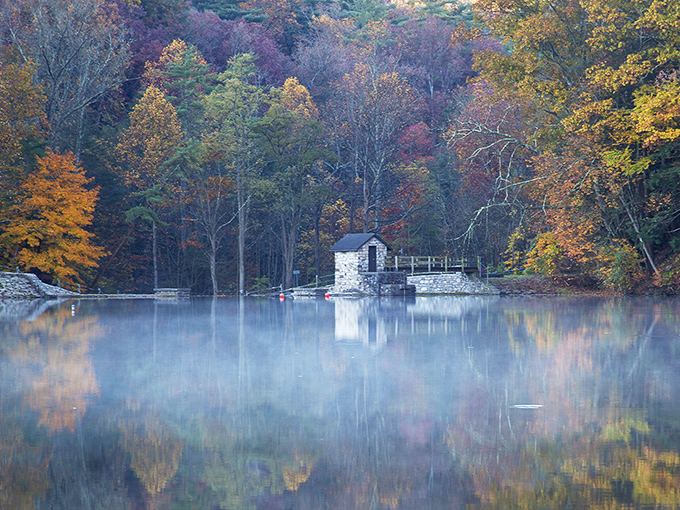 That moment when you realize Pennsylvania's best-kept secret has been hiding in plain sight all along.