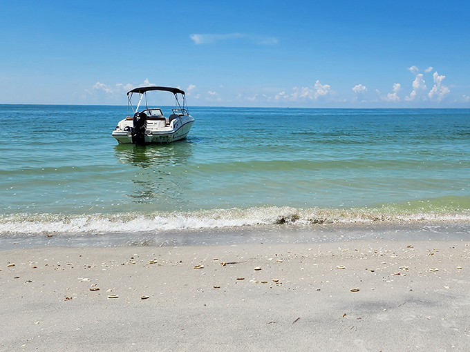 Paradise arrives with a gentle purr of an outboard motor. This pristine shoreline welcomes boaters to a world where "rush hour" means racing hermit crabs. 