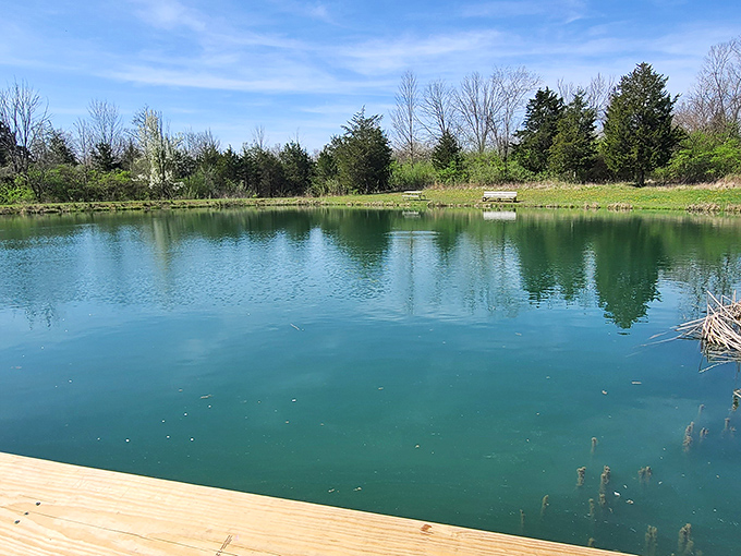 Mirror-like waters reflect the sky's blue canvas, creating nature's perfect infinity pool. A peaceful fishing spot where time seems to stand still.