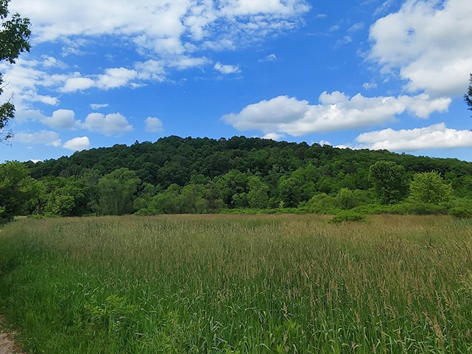 Mirror-like waters reflect Ohio's hidden masterpiece. Salt Fork Lake's tranquil surface invites you to forget your inbox exists and remember what vacation feels like.