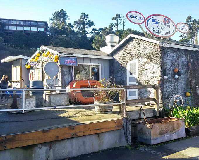 The unassuming exterior of Sea Pal Cove, where fishing nets and buoys aren't d&eacute;cor choices&mdash;they're authentic badges of honor from the working harbor.