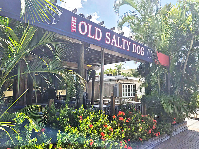 The tropical welcome committee of palm fronds and vibrant flowers frames the iconic blue and red sign, promising seafood salvation just steps from Siesta Key's powdery shores.