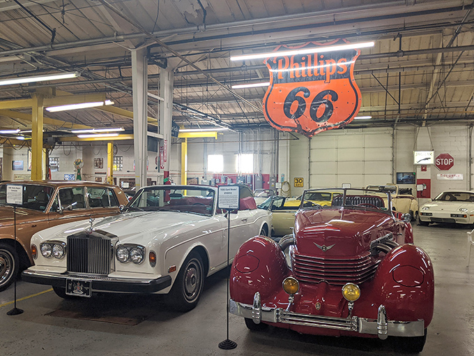 Classic beauties lined up like automotive royalty, each one whispering tales of America's golden highway era.