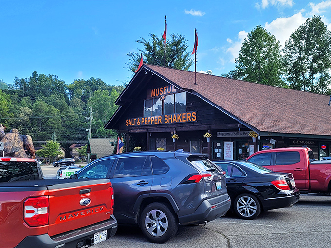 The rustic log cabin exterior belies the seasoned treasures within. Who knew condiment dispensers could warrant their own museum in the Smoky Mountains?