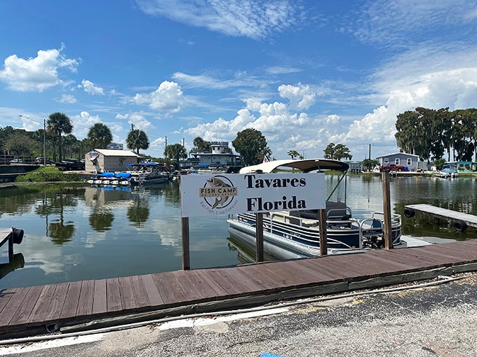 Where boats and appetites dock with equal enthusiasm. Lake Eustis provides the perfect backdrop for seafood that tastes like Florida sunshine.