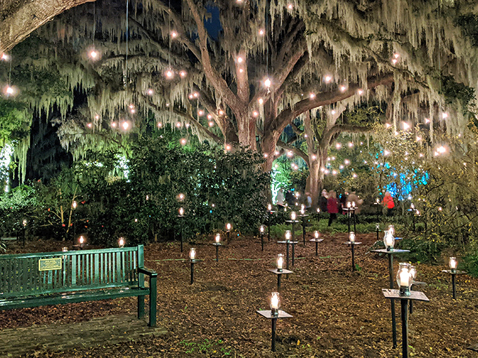 Ancient live oaks draped in Spanish moss become magical forests after dark, with twinkling lights transforming ordinary paths into scenes from a fairytale.