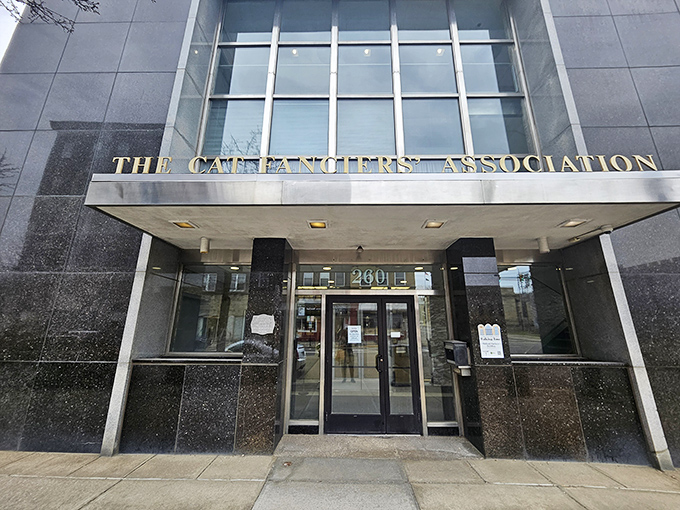 The sleek exterior of The Cat Fanciers' Association headquarters in Alliance gives little hint of the whisker-filled wonders waiting inside.