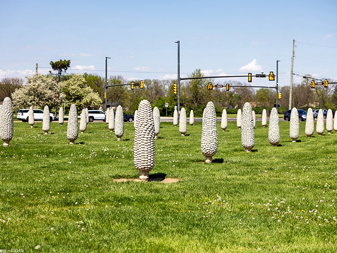 The surreal sight of 109 concrete corn sculptures standing at attention like some agricultural Stonehenge. Ohio's answer to Easter Island, but with more fiber.