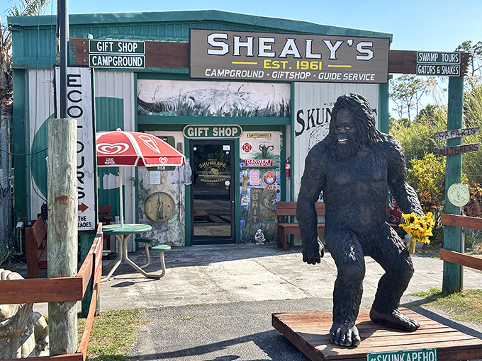 Welcome to cryptozoology's most charming outpost! The Skunk Ape Research Headquarters greets visitors with its signature hairy greeter, standing guard like a furry bouncer with stage fright.