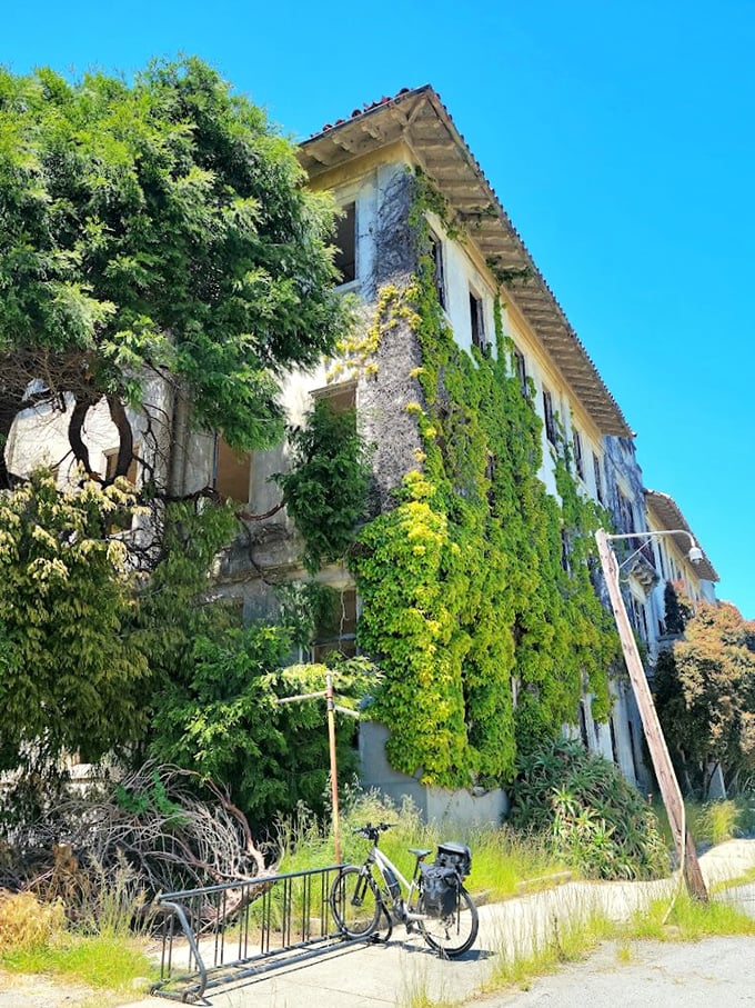 When buildings and nature collaborate on a masterpiece&mdash;ivy-covered walls tell stories of decades past while cyclists pause in appreciation.