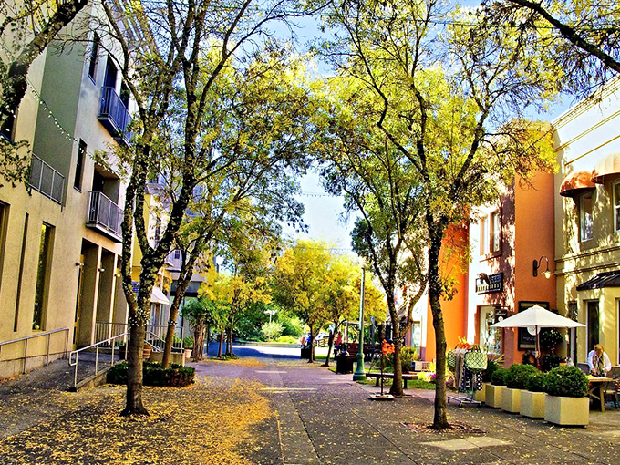 Tree-lined streets dappled with golden light create natural tunnels between colorful buildings, inviting leisurely exploration of Healdsburg's hidden corners.