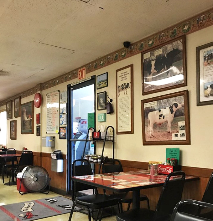 Aviation history meets comfort food in a dining room where every framed photo tells a story and every table holds the promise of satisfaction.