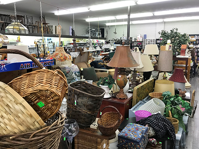 Lamp paradise or lighting museum? Either way, these fixtures have illuminated decades of bedtime stories and late-night conversations.