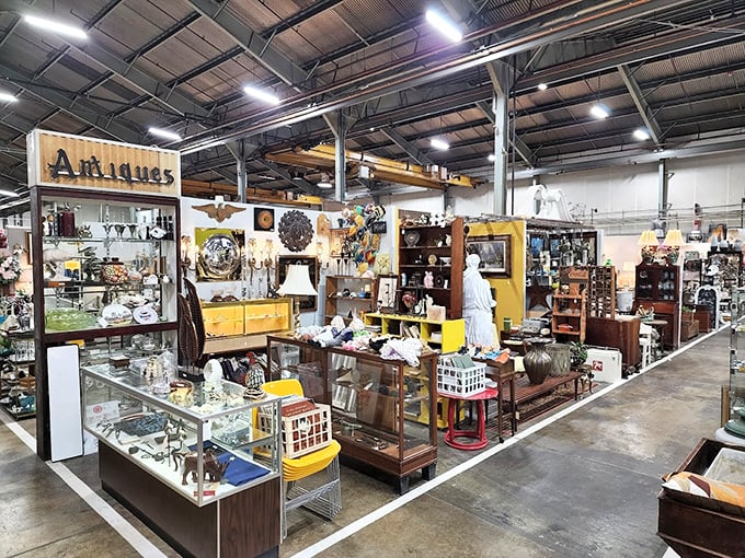 Organized chaos at its finest. Each booth is its own universe of collectibles, curated by someone who probably knows more than Wikipedia.