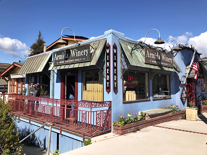 Armida Winery's tasting room invites you to sip local vintages while contemplating life's important questions, like "Should I buy another bottle?"