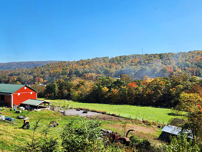Mother Nature's annual fashion show is best viewed from the rails. Those red barns aren't blushing&mdash;they're just trying to compete with autumn's wardrobe.
