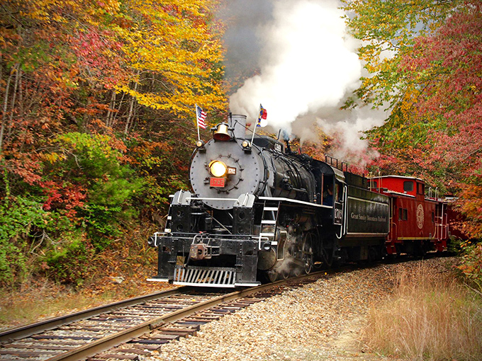Fall foliage creates nature's fireworks display as the steam engine powers through, making every passenger feel like they're inside a living postcard.