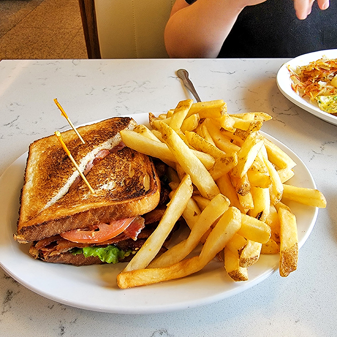 A BLT that understands the sacred geometry of sandwich architecture, accompanied by fries that clearly graduated from potato university with honors.