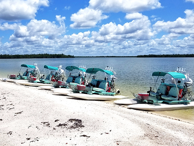 These aqua vessels lined up like patient taxis wait to shuttle adventurers through mangrove tunnels and hidden waterways.