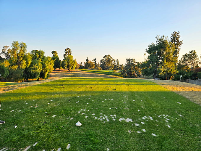 Morning light bathes Bakersfield Country Club's fairway in golden hues, where retirement dreams include affordable tee times rather than second mortgages.