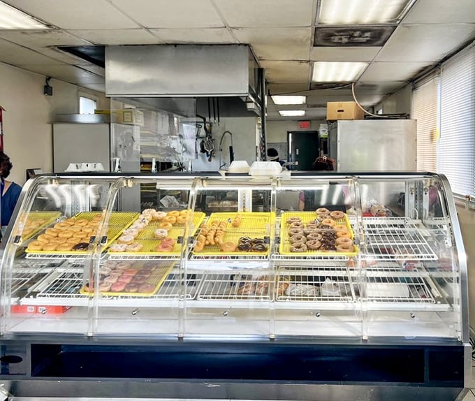 The display case&mdash;a museum of fried dough artistry where glazed, chocolate-frosted, and jelly-filled masterpieces await their appreciative audience.