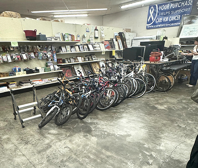 Two-wheeled treasures await their next adventure, lined up like faithful steeds at the starting gate.