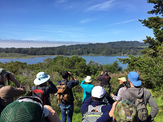 Bird enthusiasts gather at Bolinas Lagoon, binoculars raised in unison like an orchestra of curiosity conducted by nature herself.