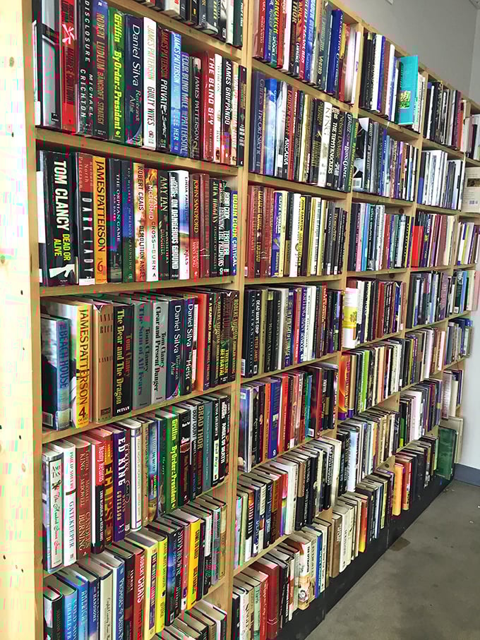 Books stacked with military precision, spines revealing worlds within. This literary buffet offers something for every reading appetite, from guilty pleasures to profound classics.