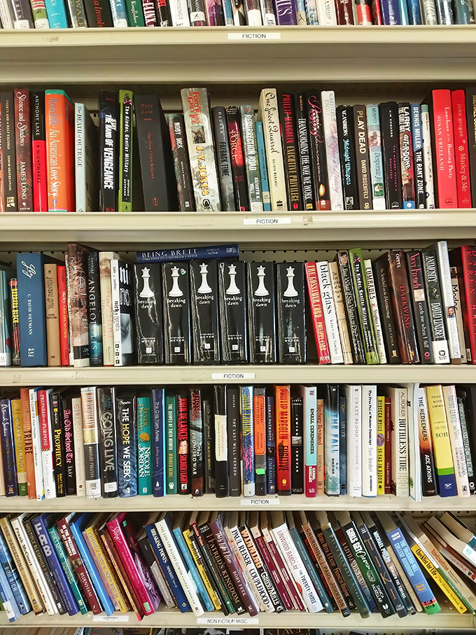 Fiction shelves packed tighter than a summer beach bag, offering literary escapes for less than the price of a fancy coffee.