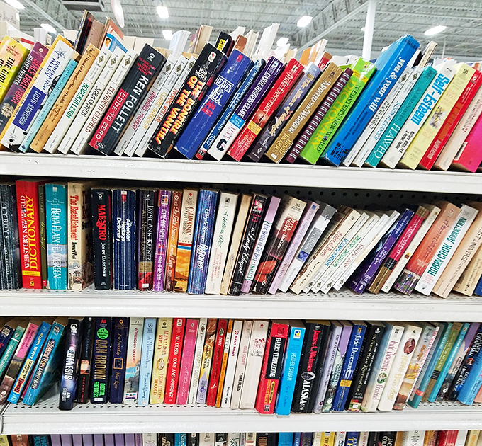 Literary treasures lean against each other in colorful solidarity, their spines telling stories before you even open their covers.