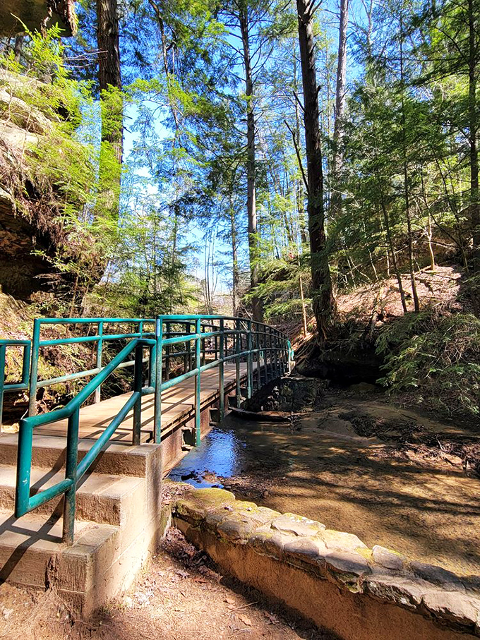 The teal railing guides visitors safely along the gorge floor. Indiana Jones would approve of this adventure-ready pathway.