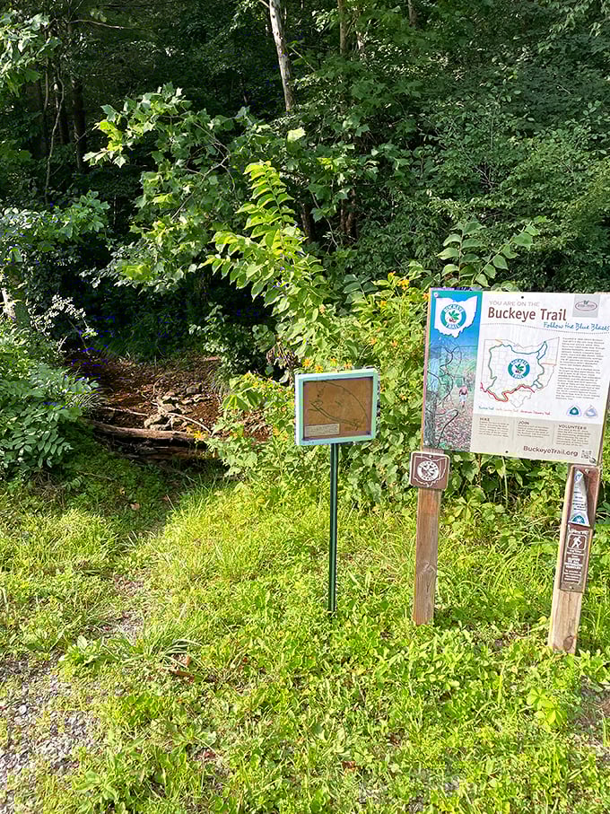 The beginning of something beautiful! The Buckeye Trail entrance invites adventurous souls to discover Ohio's natural treasures one step at a time.