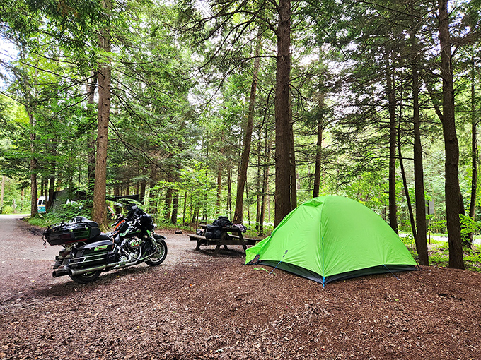 Camping with motorcycles: where "roughing it" meets "we brought a vehicle that costs more than some people's cars."