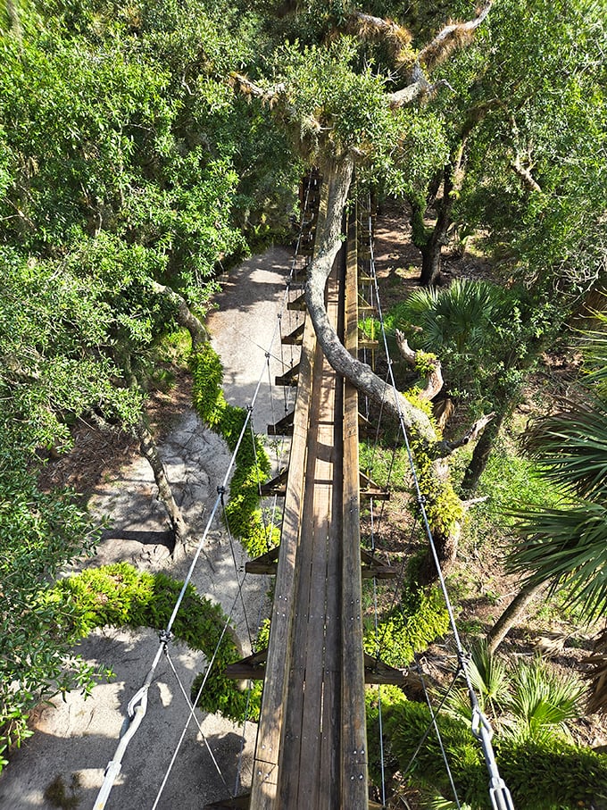 Walking the canopy bridge&mdash;where acrophobia meets wonder, and every step feels like you're starring in your own nature documentary. 
