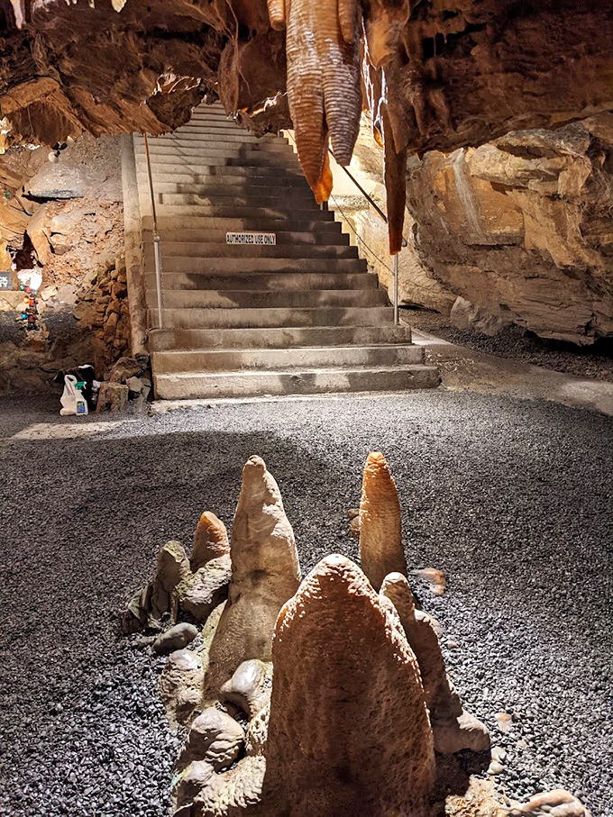 These stalagmites reach upward like nature's own skyscrapers, while the stairway beckons visitors deeper into the underground realm.