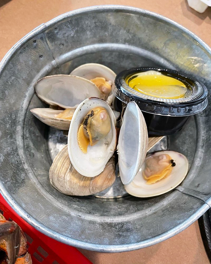 Briny treasures nestled in their metallic pool. These cherrystone clams are ocean-fresh and waiting for their butter bath.
