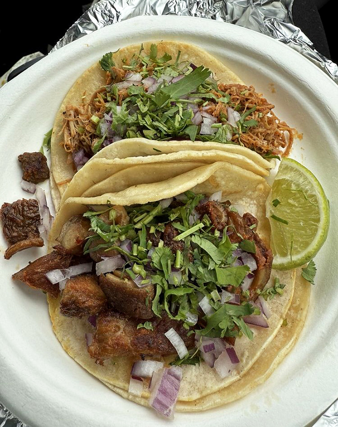 Two tacos showcasing different proteins: tender chicken and rich buche, both topped with fresh herbs and onions. 