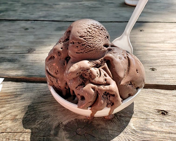 Chocolate ice cream so rich and creamy it should come with its own warning label. Spoon-licking mandatory, judgment-free zone.
