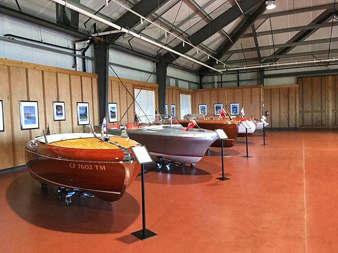Classic wooden boats gleam under museum lights, each one telling tales of lake adventures past. Floating works of art that make fiberglass look downright boring.