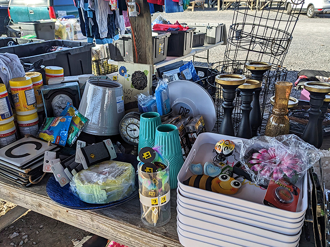 A jumble of household treasures awaits new homes. From quirky bee figurines to practical lamps, someone's perfect accent piece is hiding here.