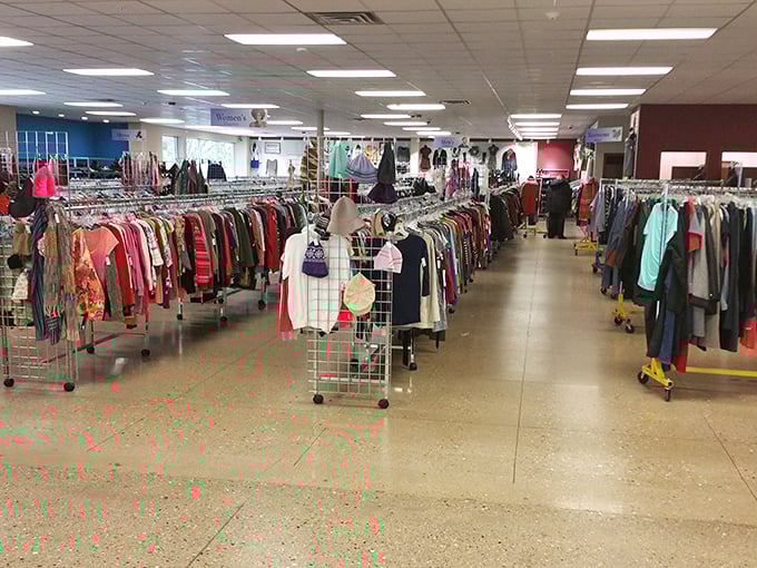 The clothing forest&mdash;where racks create pathways through fashion history and every hanger holds the potential for style reinvention.