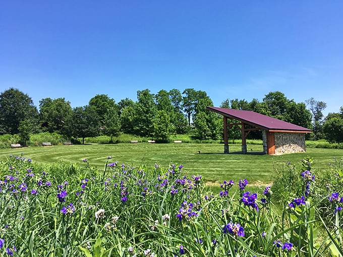 Purple irises frame this peaceful park pavilion, where Strasburg residents gather for everything from family reunions to quiet moments of countryside contemplation.