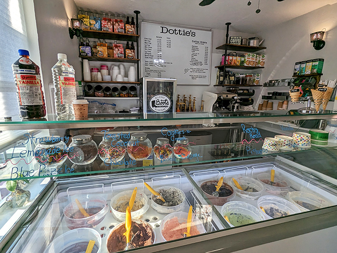 Behind the magic! Dottie's gelato laboratory showcases the rainbow of flavors waiting to brighten your day.