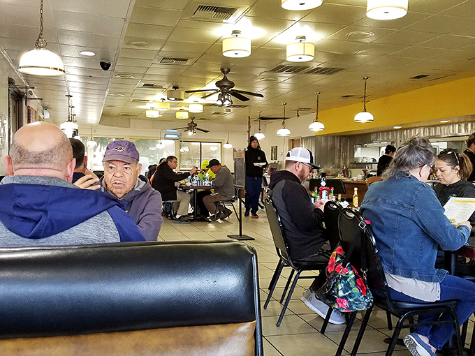 Every table tells a story at The Omelet House, where regulars have claimed their territories and newcomers quickly understand why they'll soon return.