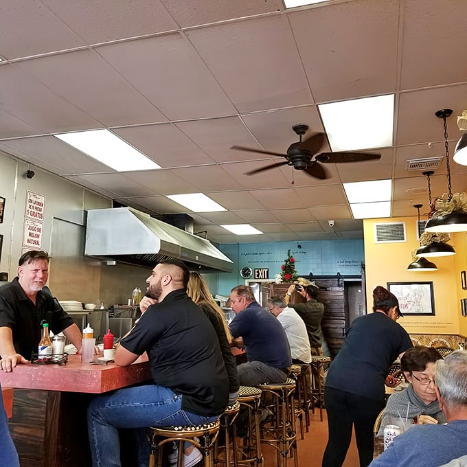 The counter fills with regulars and newcomers alike, all united in the universal language of "mmm" that requires no translation.