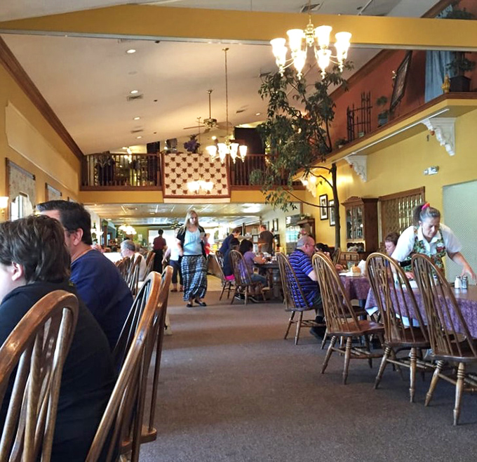 The dining room buzzes with the universal language of "mmm." Notice how nobody's looking at their phones? That's the power of good food.