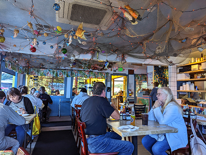 The ceiling's fishing nets aren't decorative choices; they're visual reminders of where your lunch was swimming before it became your lunch.