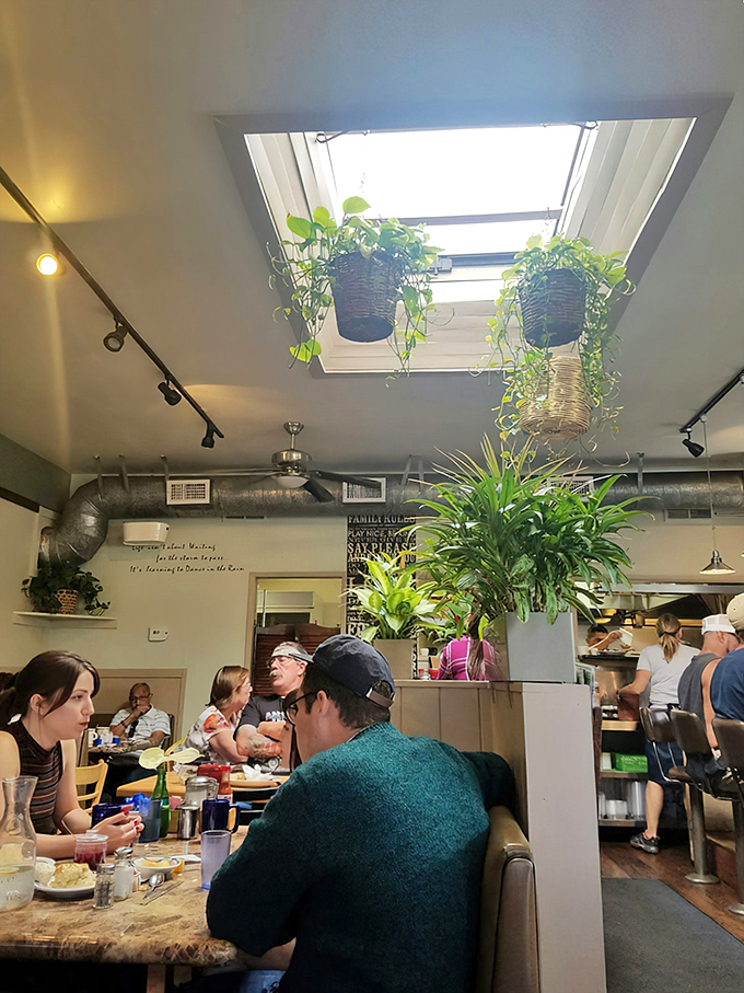 Skylights flood the dining room with natural light while hanging plants create an indoor garden effect. Breakfast in a greenhouse never looked so good.